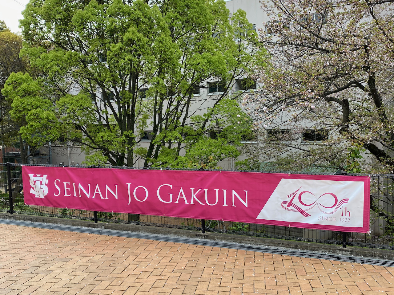 Welcome, Class of 2021 – SeiJo English